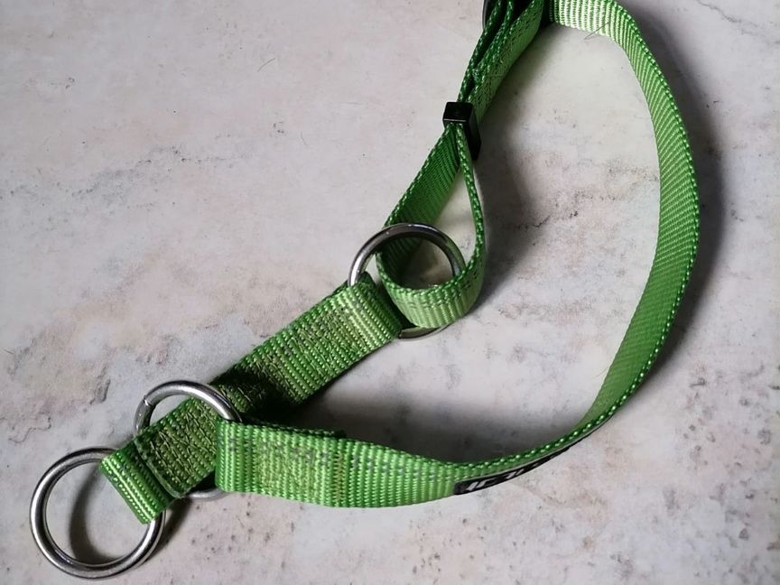 Ошейник полуудавка мартингейл