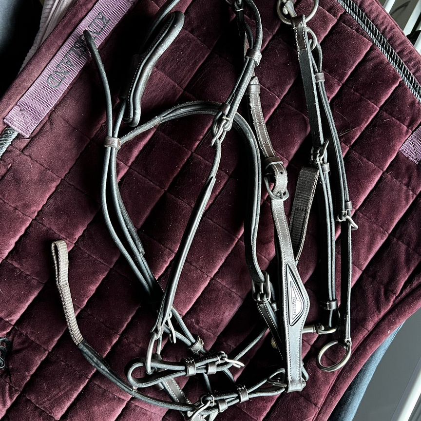 Подперсье с мартингалом Equiline