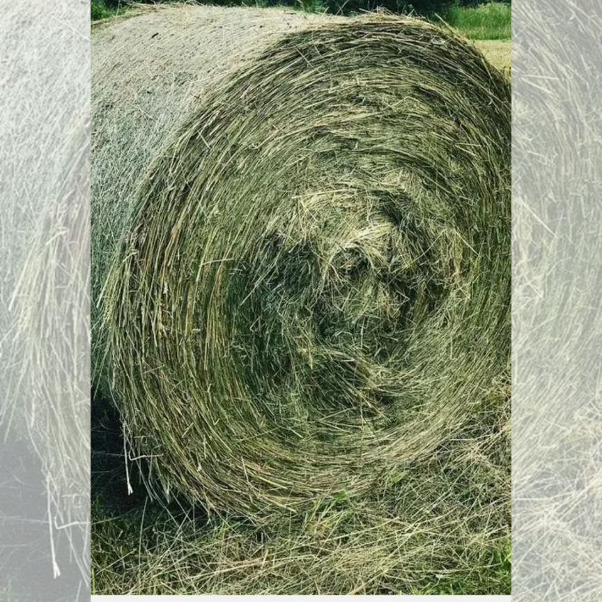 Сено в мини рулонах