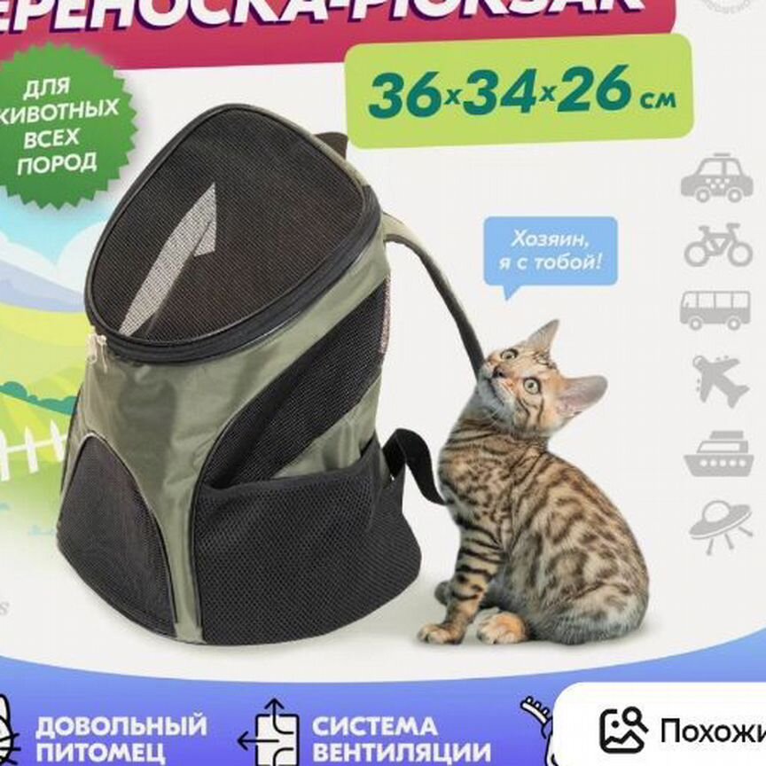 Переноска рюкзак для кота