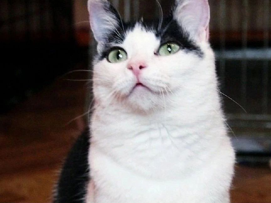 Монику никто не замечает