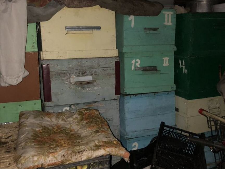 Продам ульи