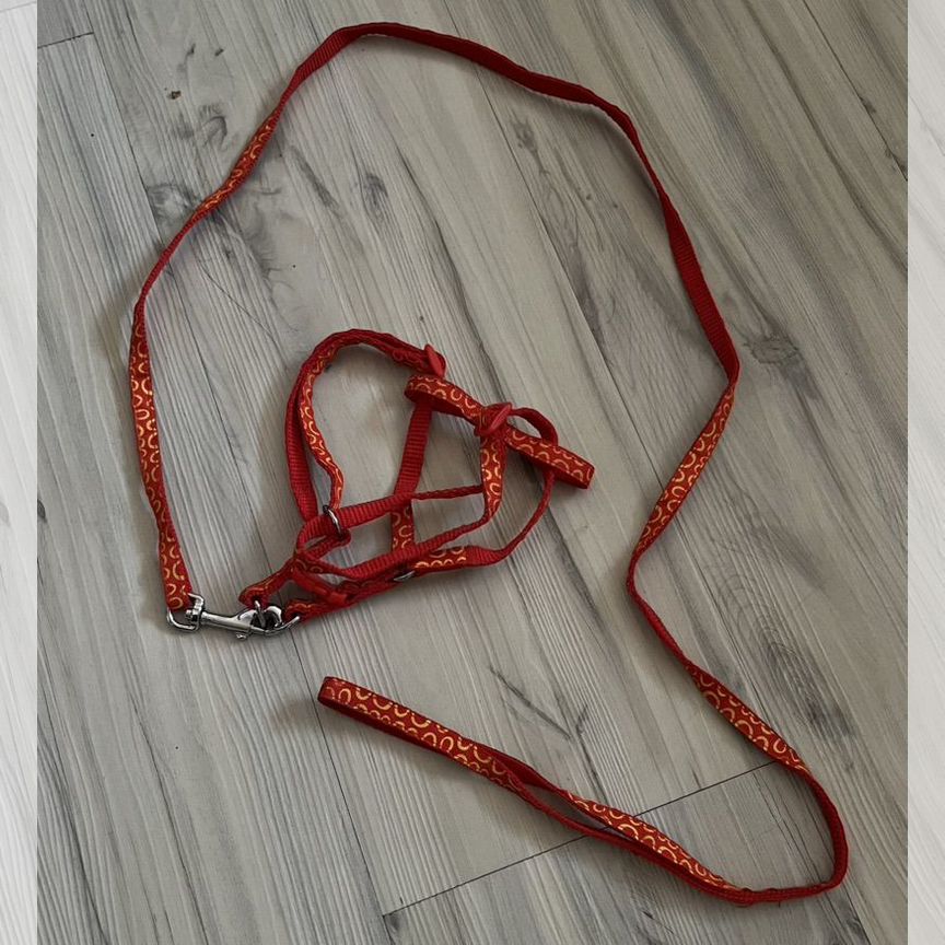 Шлейка (поводок) для кошки или маленькой собачки