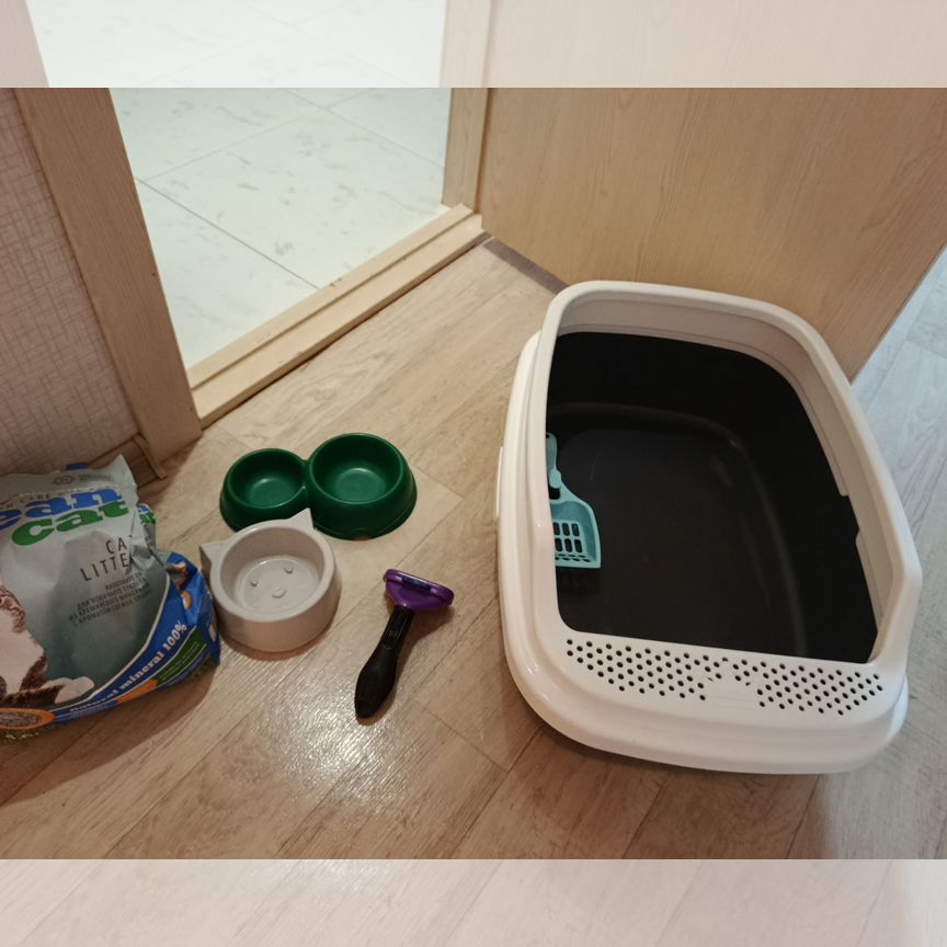 Лоток для кошек