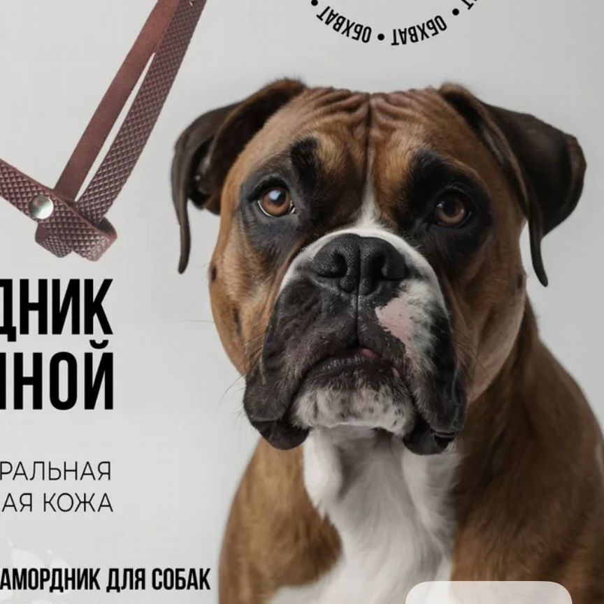Ошейник для крупной собаки бу