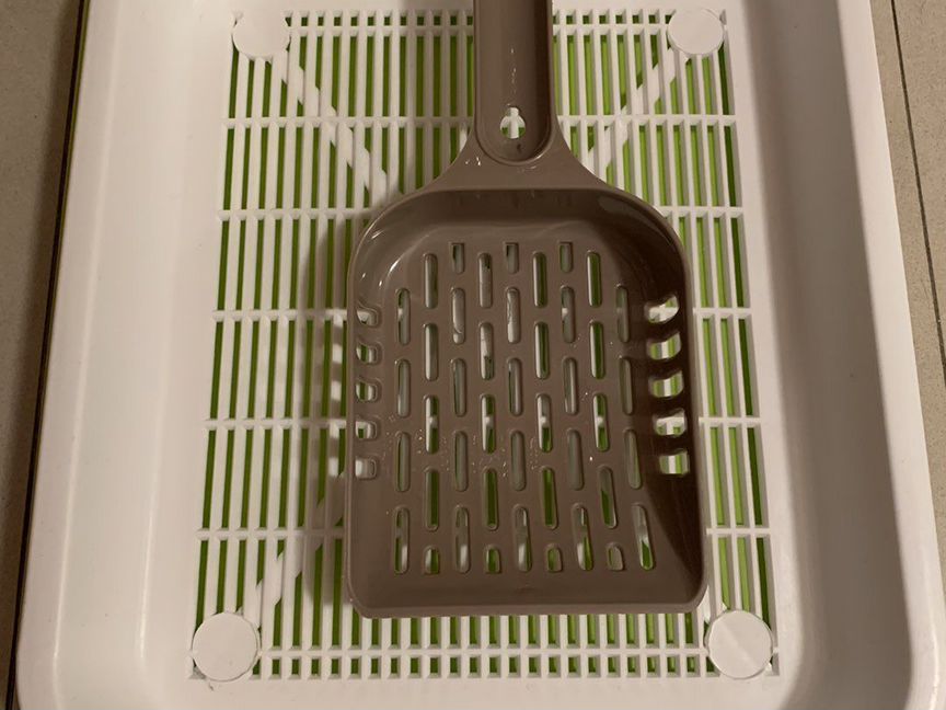 Лоток и совок для котят