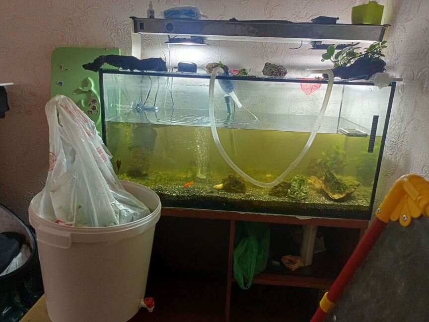 Аквариум, террариум 200л