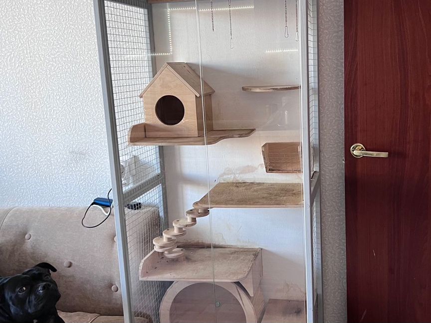 Клетка для шиншиллы (витрина)