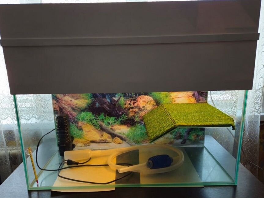 Террариум для черепахи