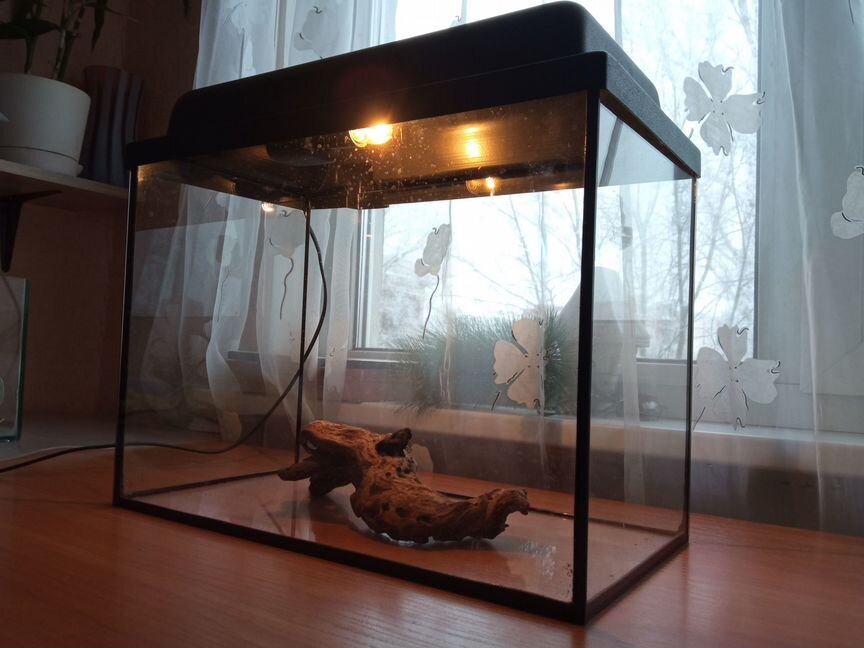 Аквариум террариум