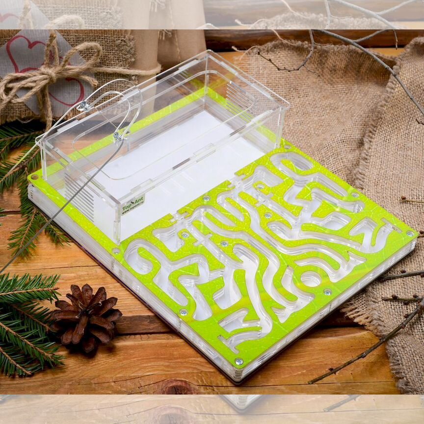 Формикарий/ Подарок для ребенка/ Муравьиная ферма