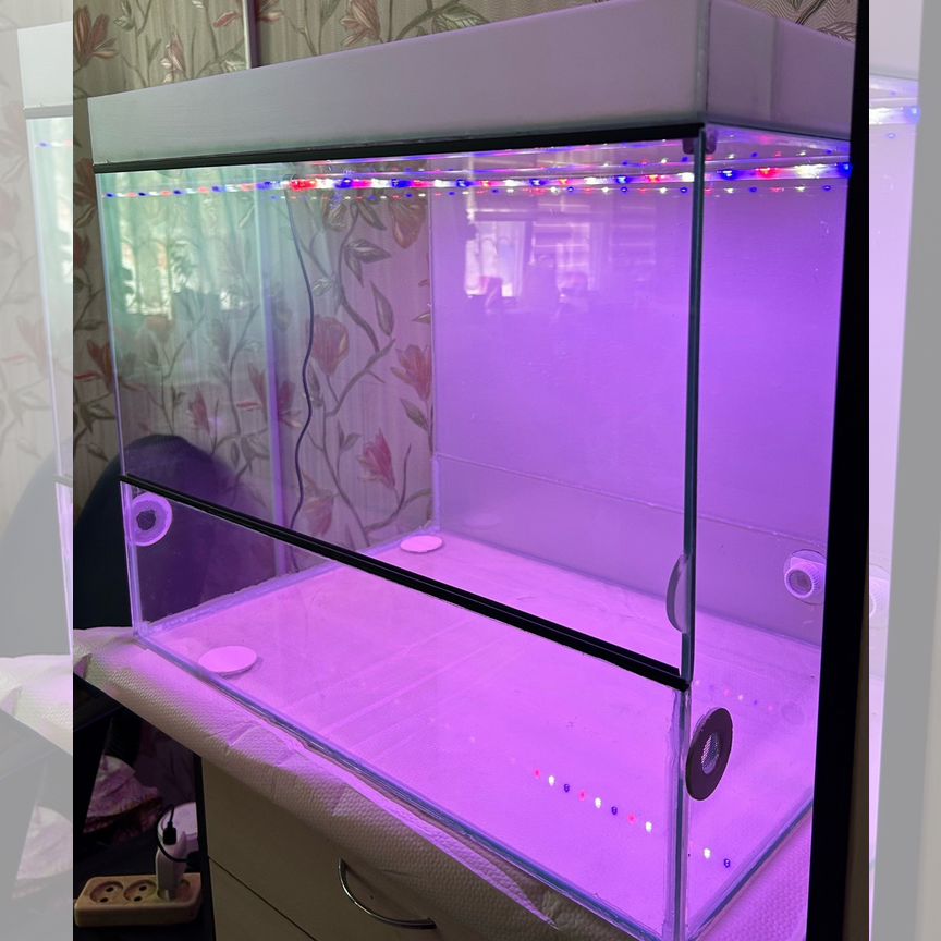 Акватеррариум, новый