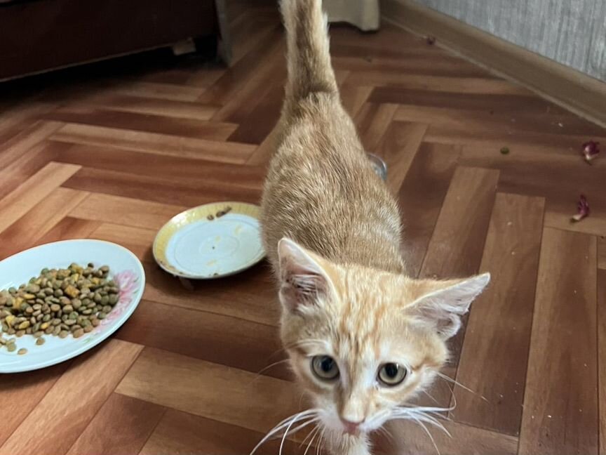 Заберешь меня домой