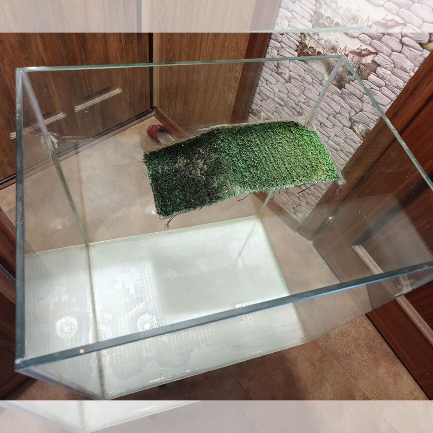 Террариум для черепахи