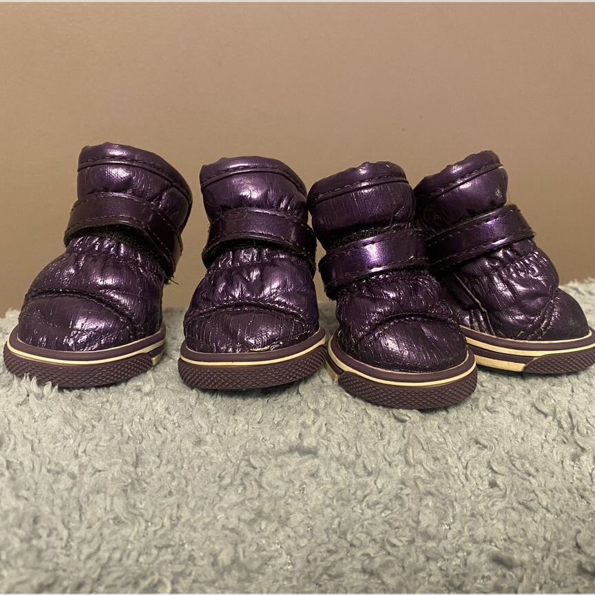 Обувь для маленьких собак Petmax 3