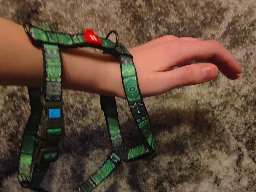 Шлейка анатомическая waudog nylon