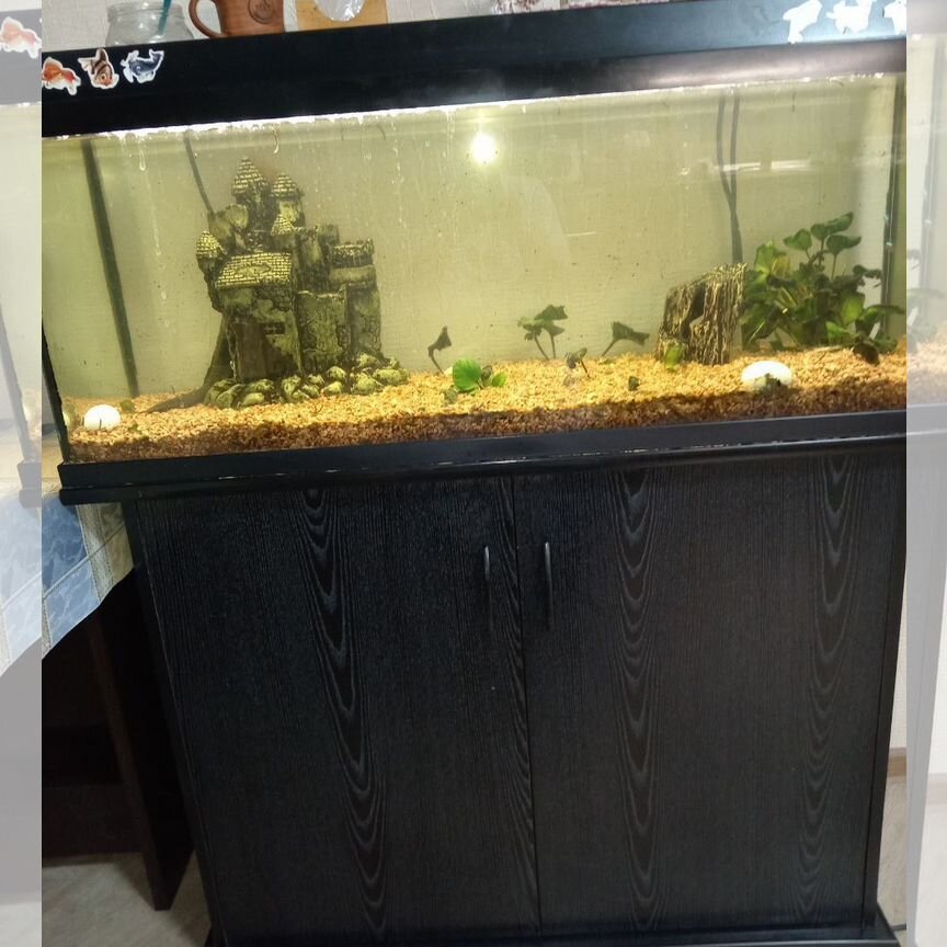 Аквариум с тумбой 100 л