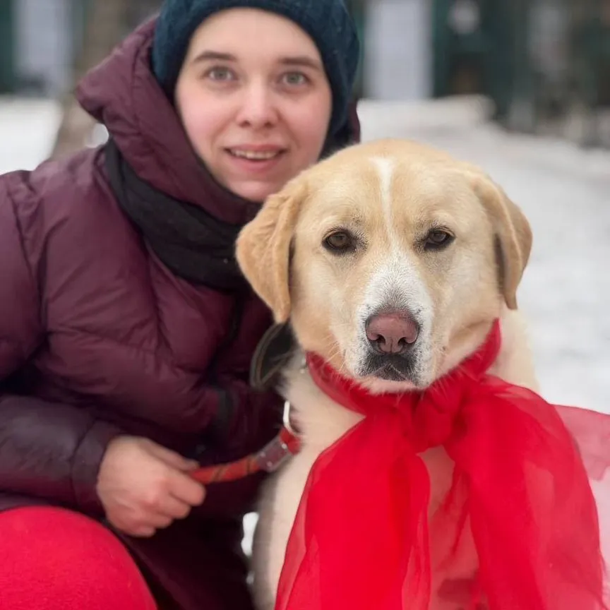 Бывшедомашняя Ненси в приюте Некрасовка