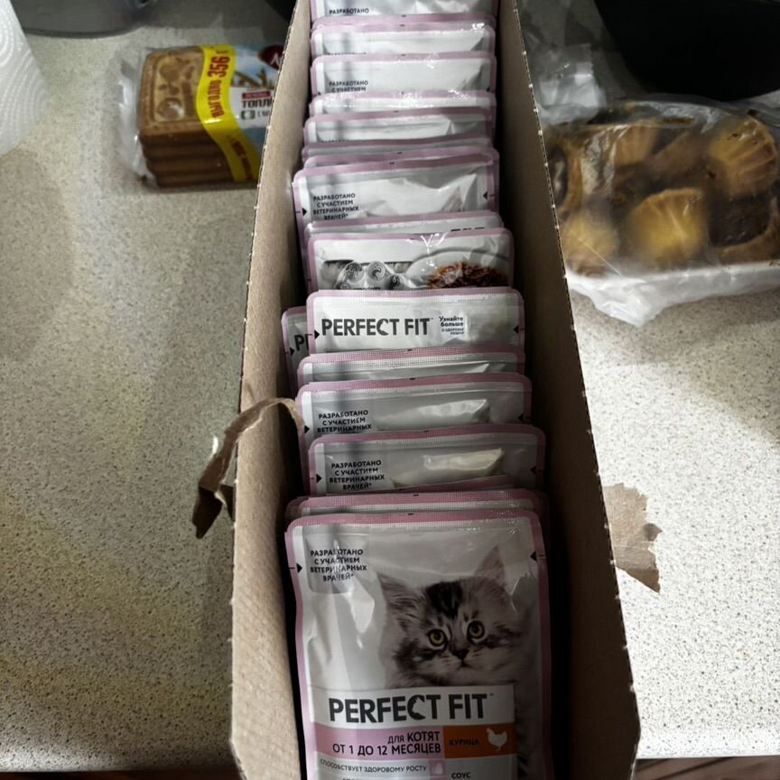 Perfect fit для котят