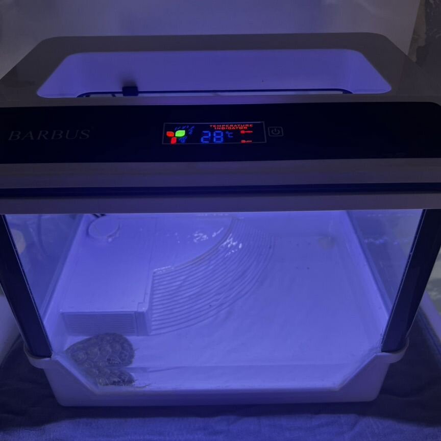 Террариум для черепахи