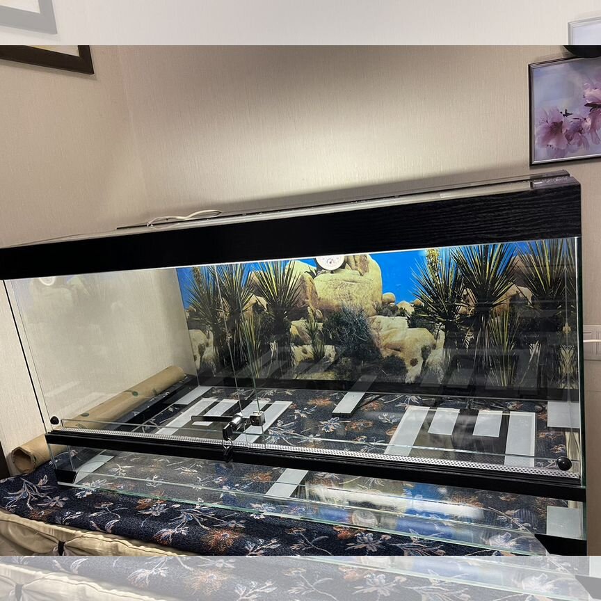 Террариум большой