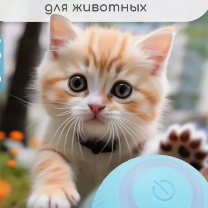 Интерактивный мячик для кошек и не только)