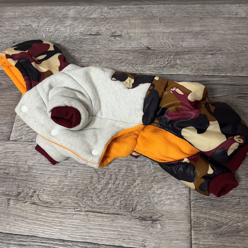 Одежда для собак