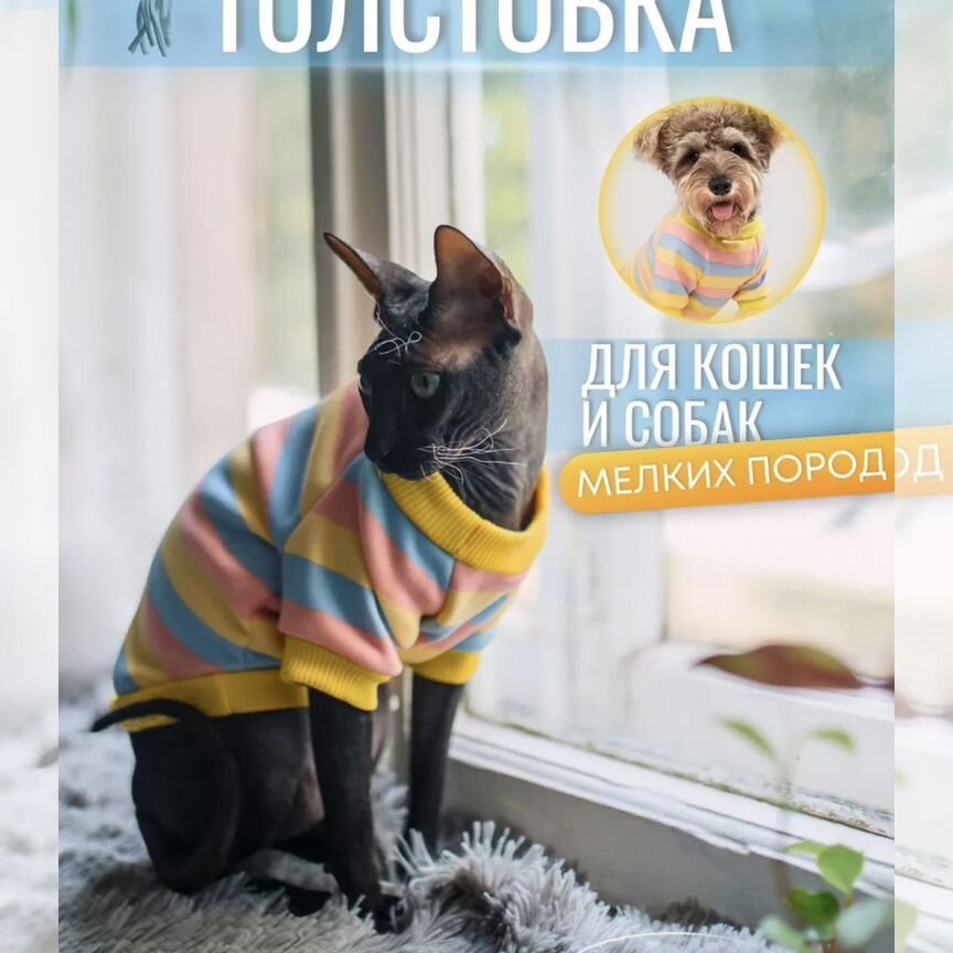 Одежда для животных