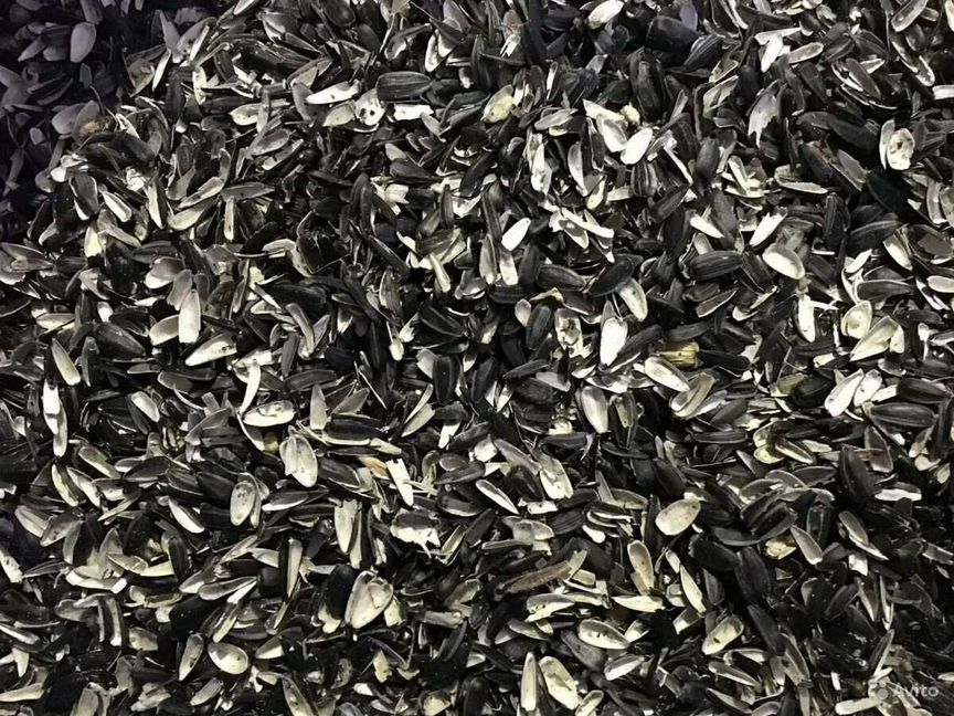 Лузга подсолнечника