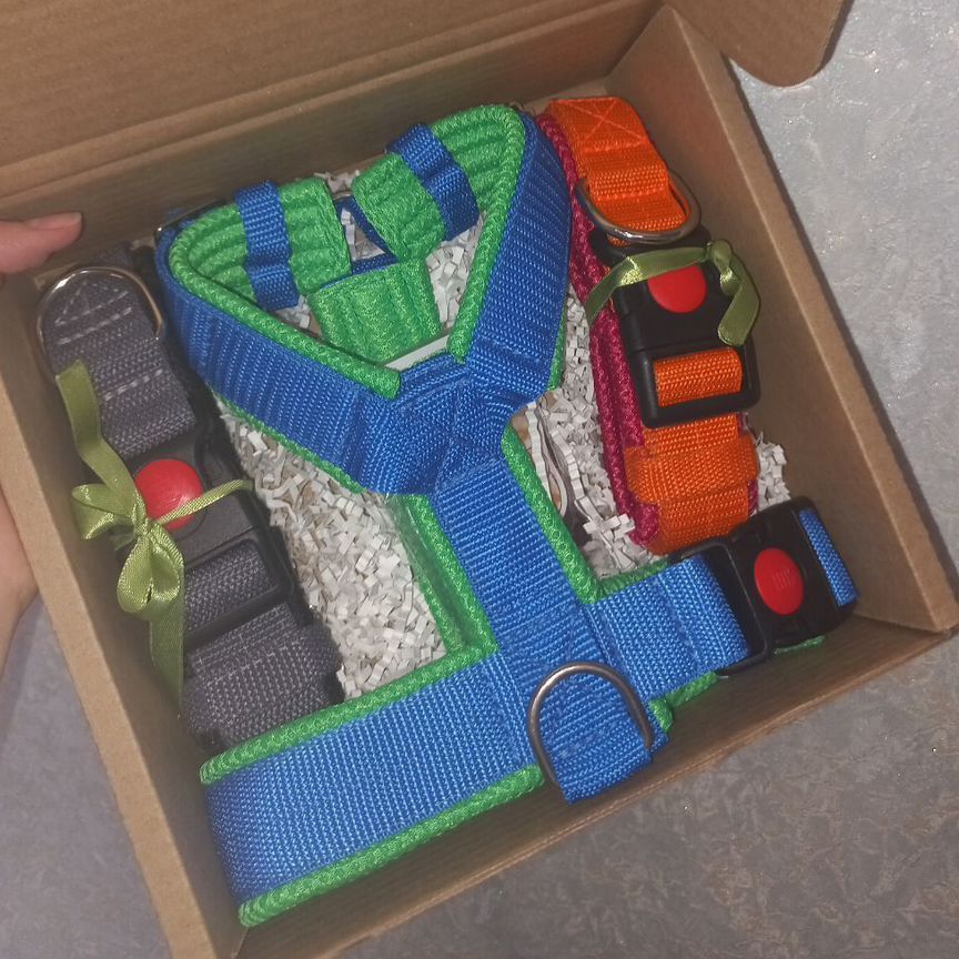 Амуниция для собак ручной работы