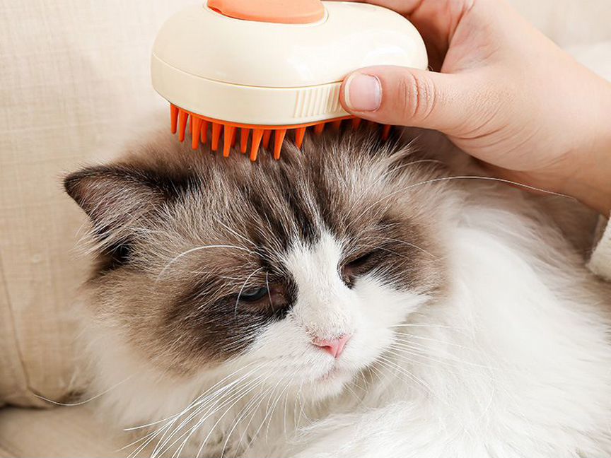 Паровые щетки для кошек и собак