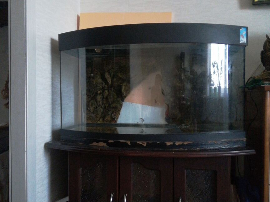 Отдам аквариум