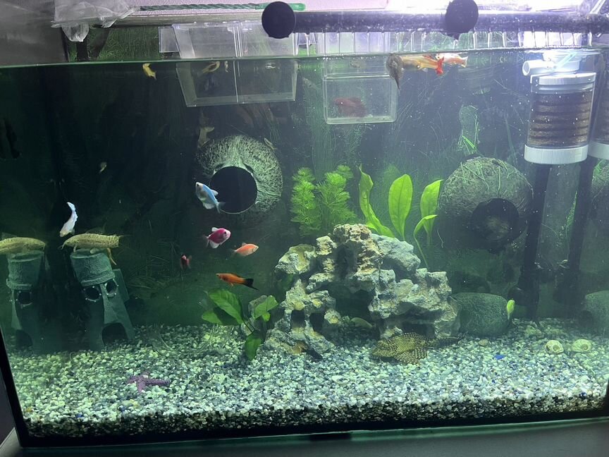 Украшение для аквариума