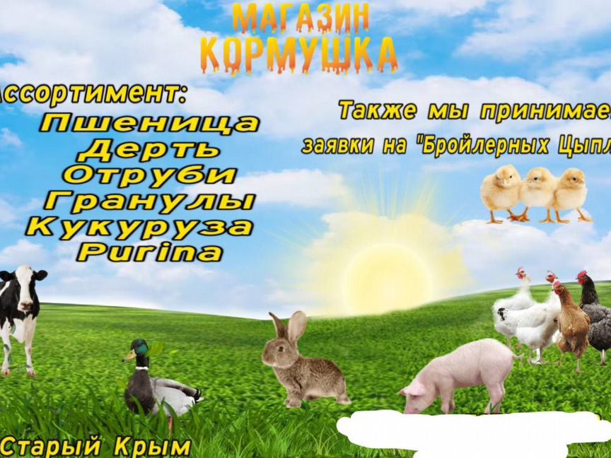 Корма для животных