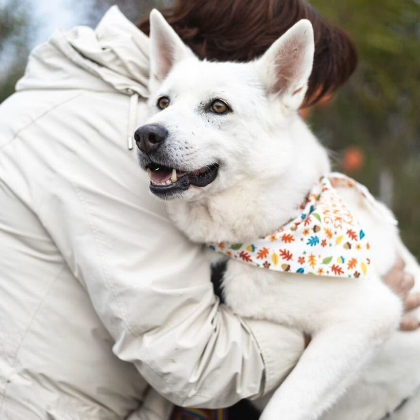 Красавец Умка страдает без семьи