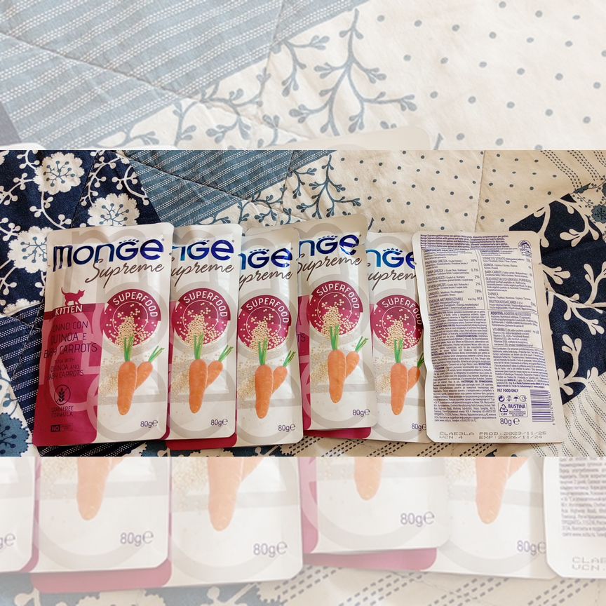 Корм для кошек монж