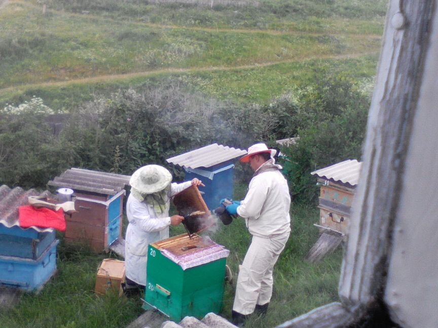 Пчелиные улья, наставочные корпуса, рамки