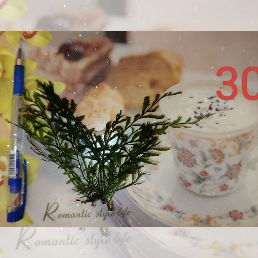Балбитис папоротник
