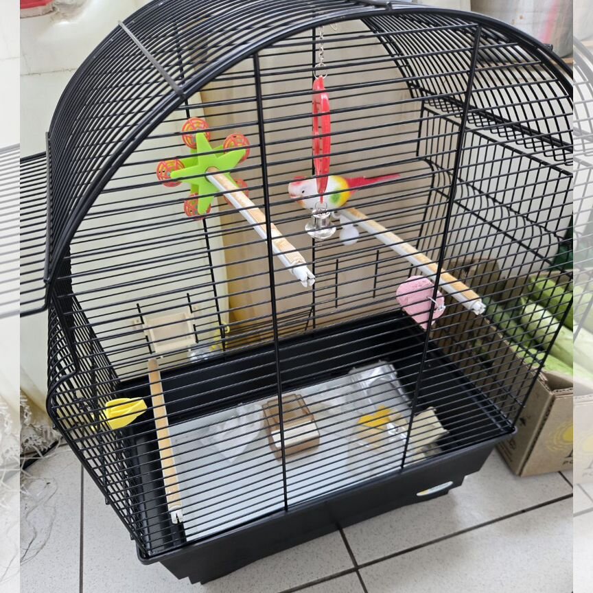 Клетка для попугая