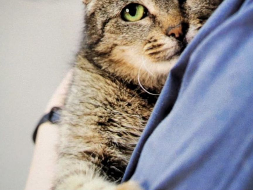 Стеша ждет своего человека