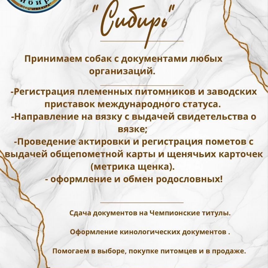 Оформление документов