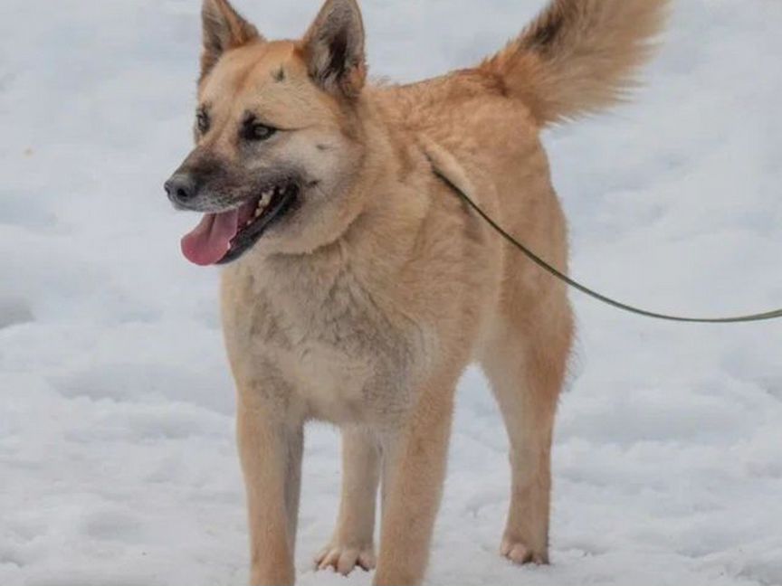 Невероятно адекватная и умная Агата