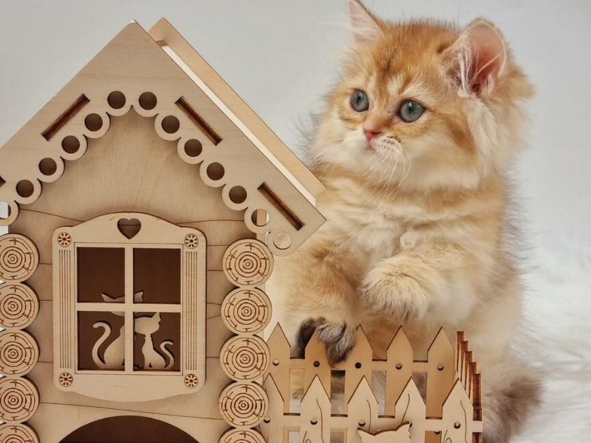 Котёнок Домовёнок Кузя SFL71ny11