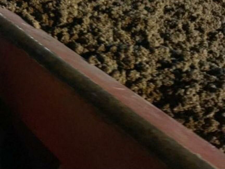 Пивная дробина для крс