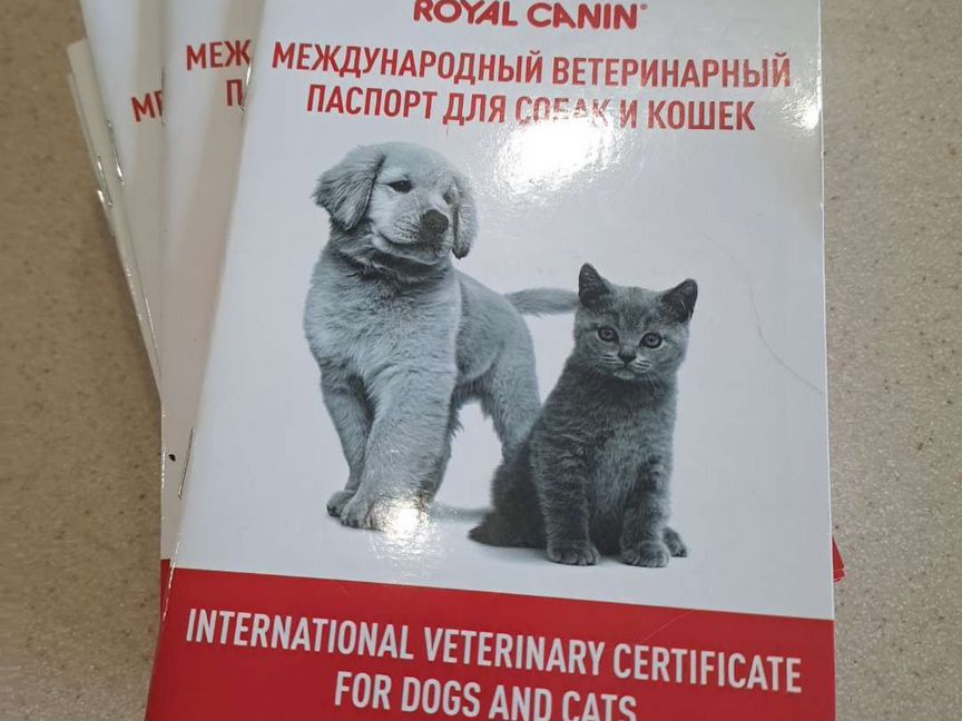 Ветеринарный паспорт животному