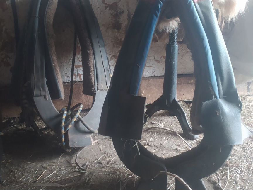 Хомут для лошади