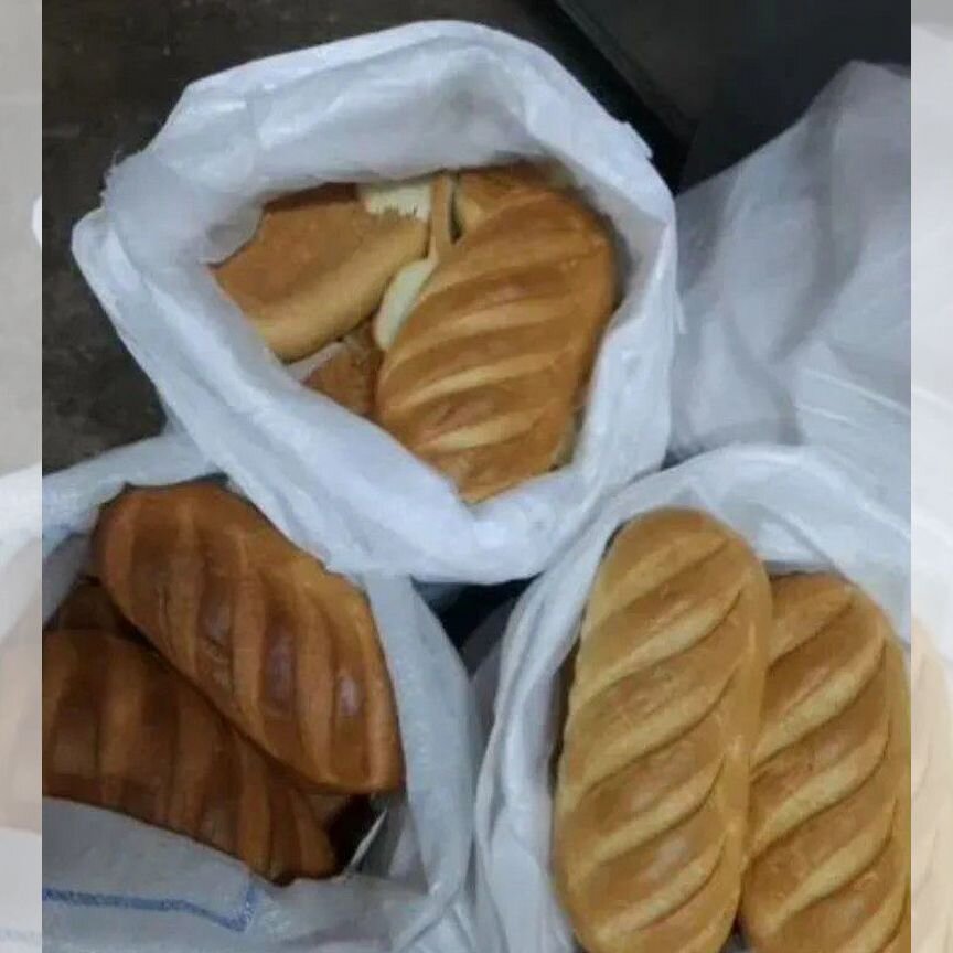 Корм для животных