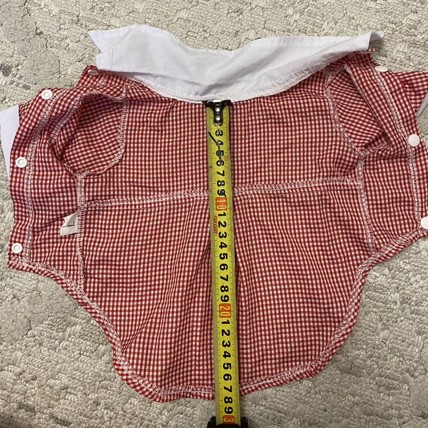 Одежда для маленьких собак