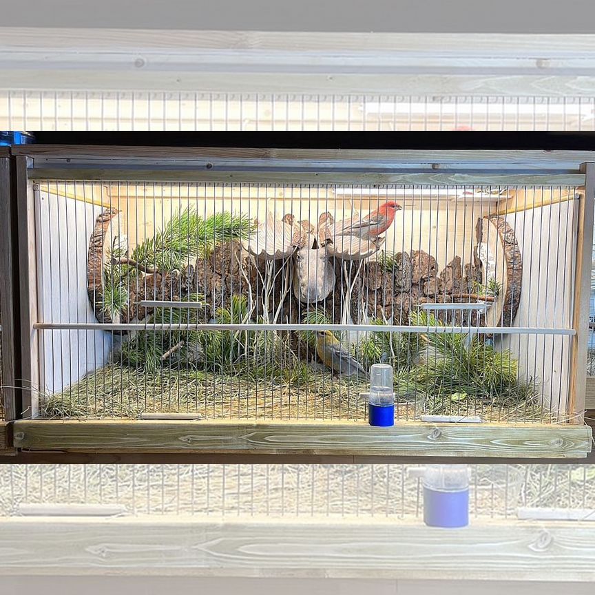 Изготовление клеток для птиц