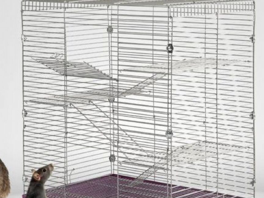 Клетка для грызунов бу